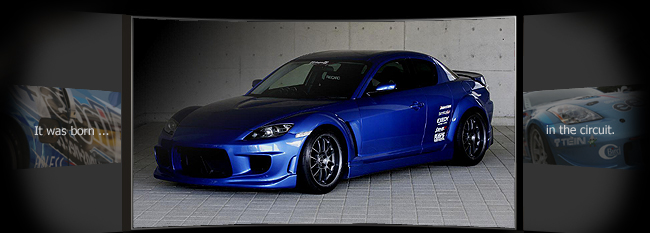 ings =イングスエアロ、N-SPEC RX-8 SE3P激安、格安、最安HIRANO TIREオンラインカタログ